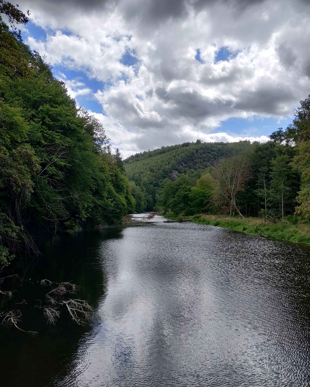 How to hike around the Nisramont lake in the Ardennes (16 km)? - Tim Tense