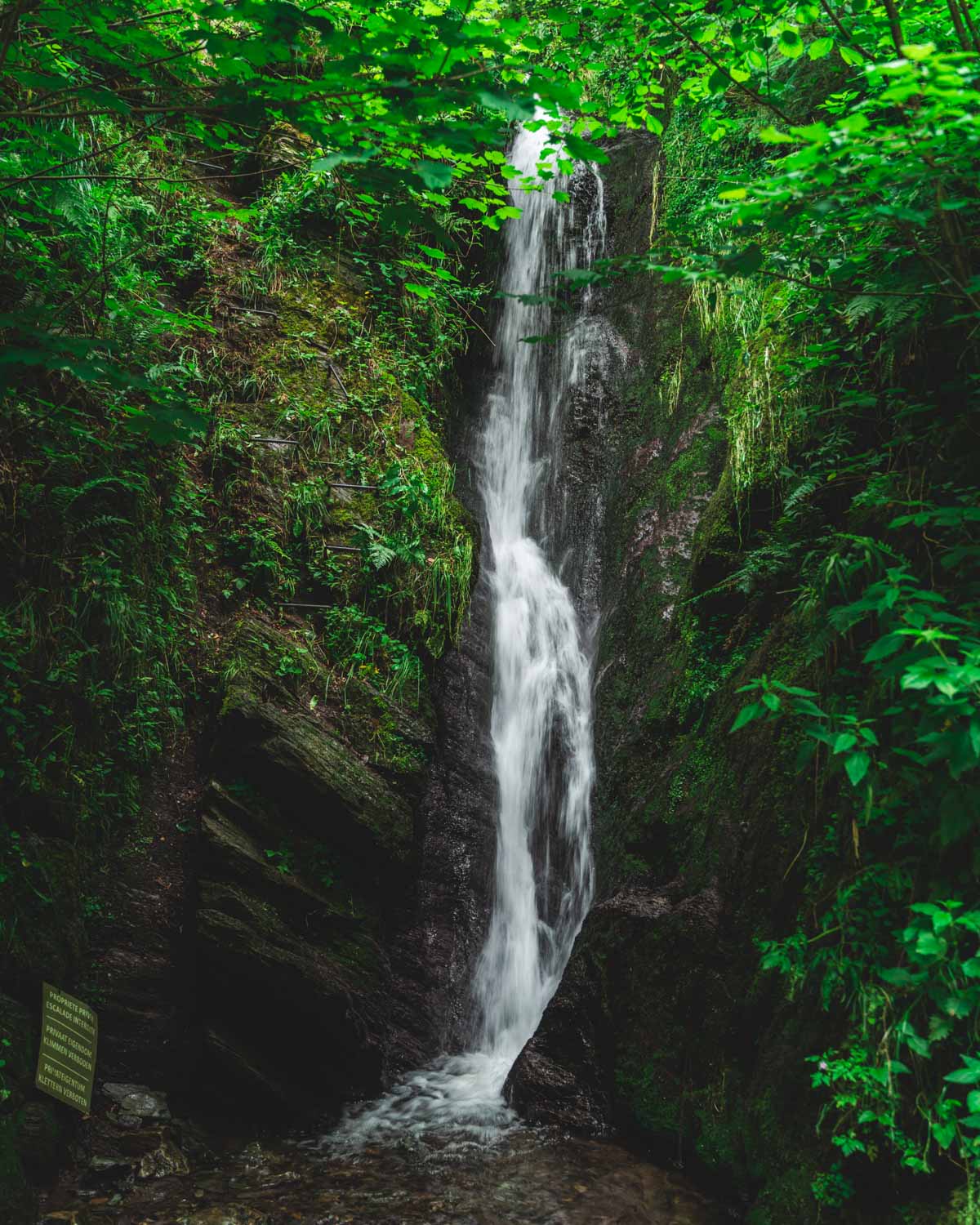 Hiking in the Ardennes of Belgium - The ultimate Guide - Tim Tense